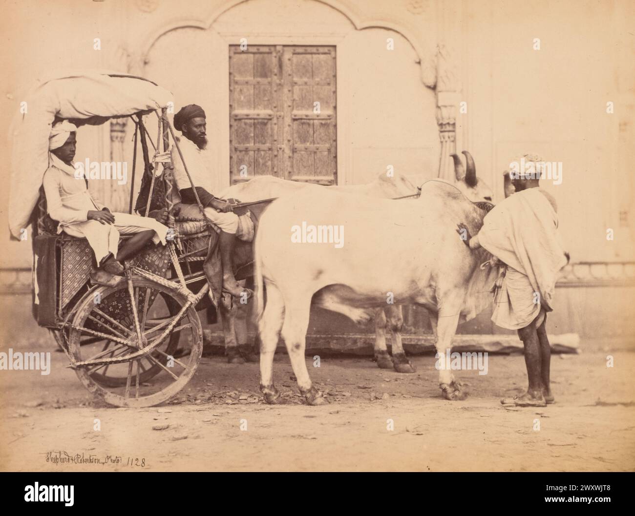 Indian bullock cart hi-res stock photography and images - Alamy