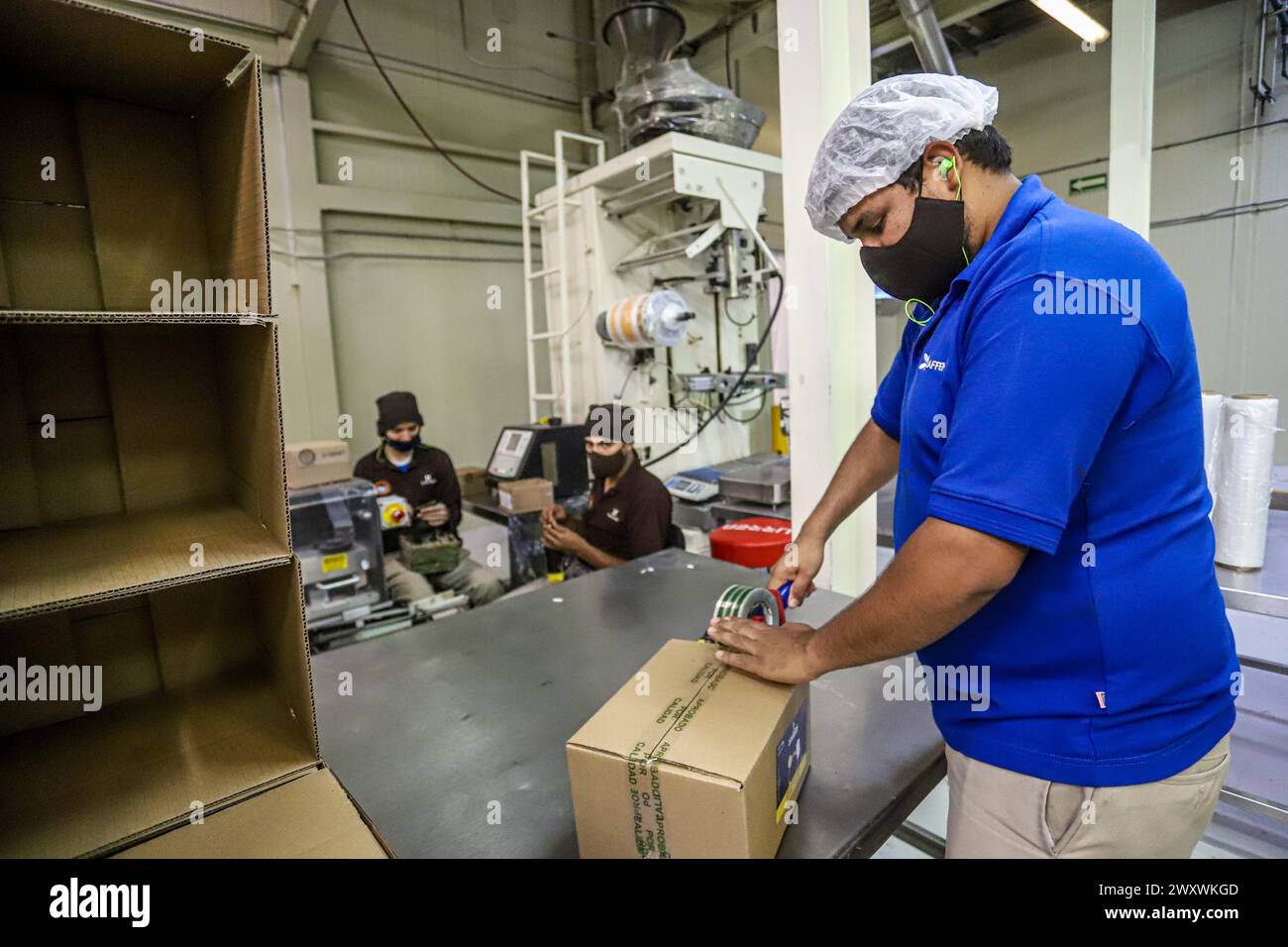 coffee manufacturing plant, industrialized roasted coffee production ...