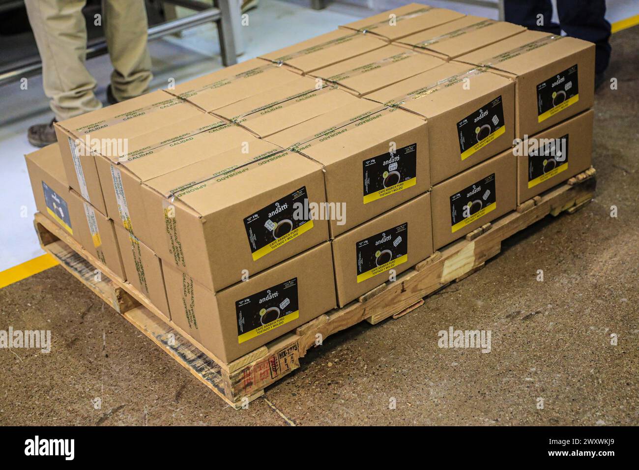 coffee manufacturing plant, industrialized roasted coffee production ...