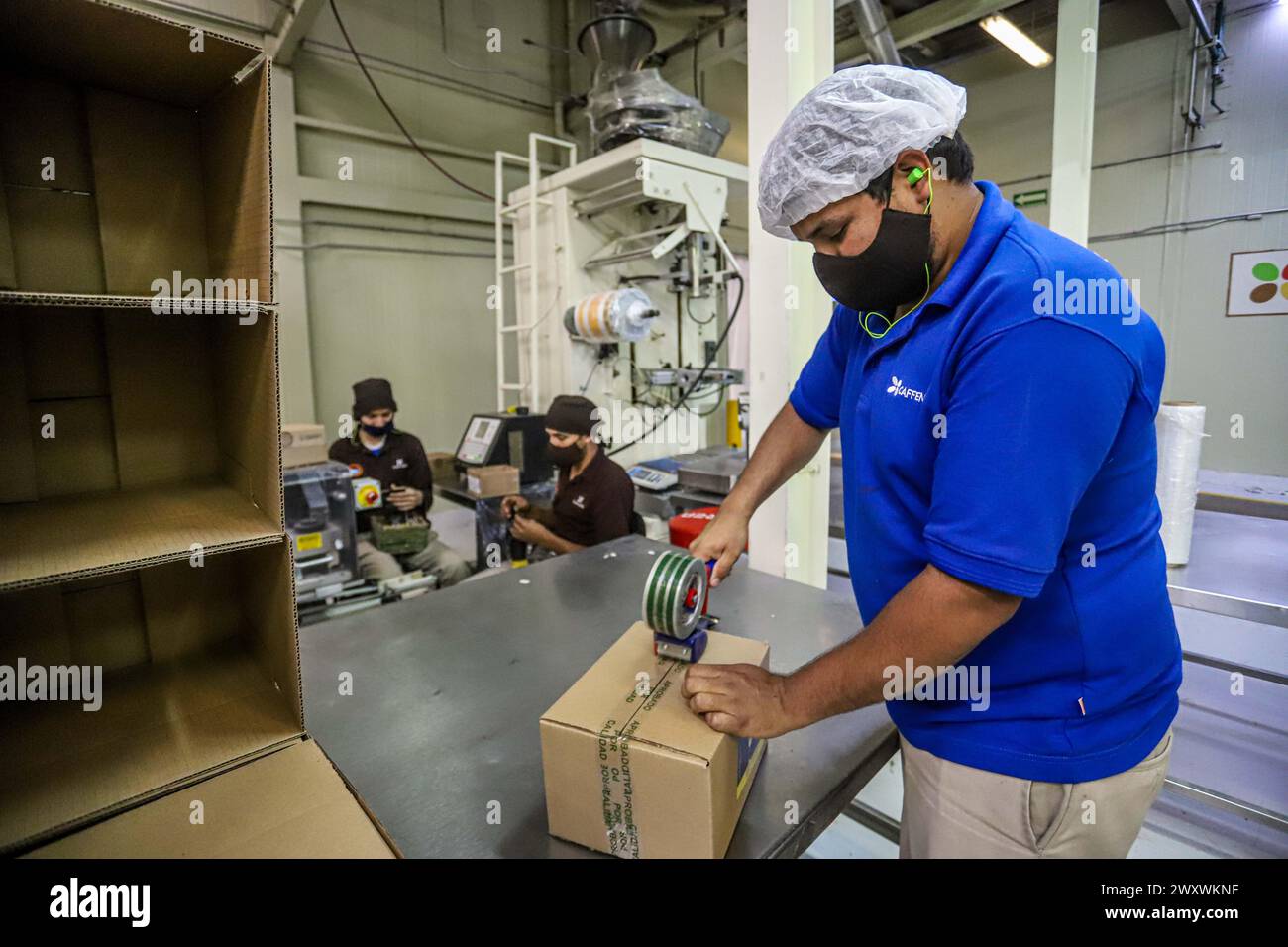 coffee manufacturing plant, industrialized roasted coffee production ...