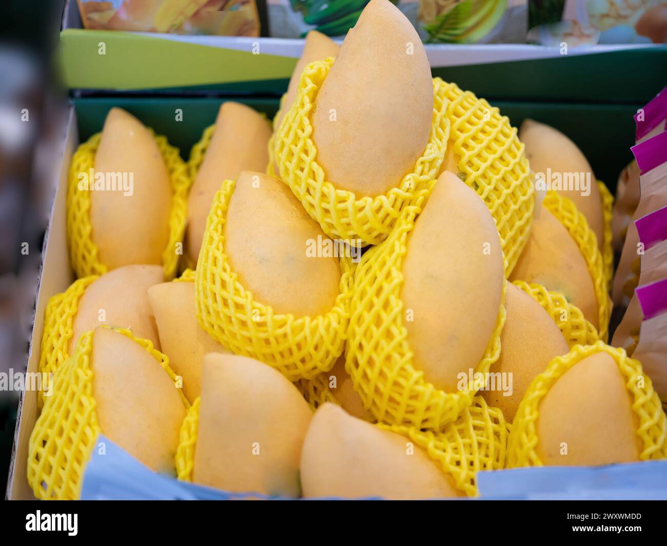 Stack of ripe yellow mangoes on in plastic packaging. Fruit and ...