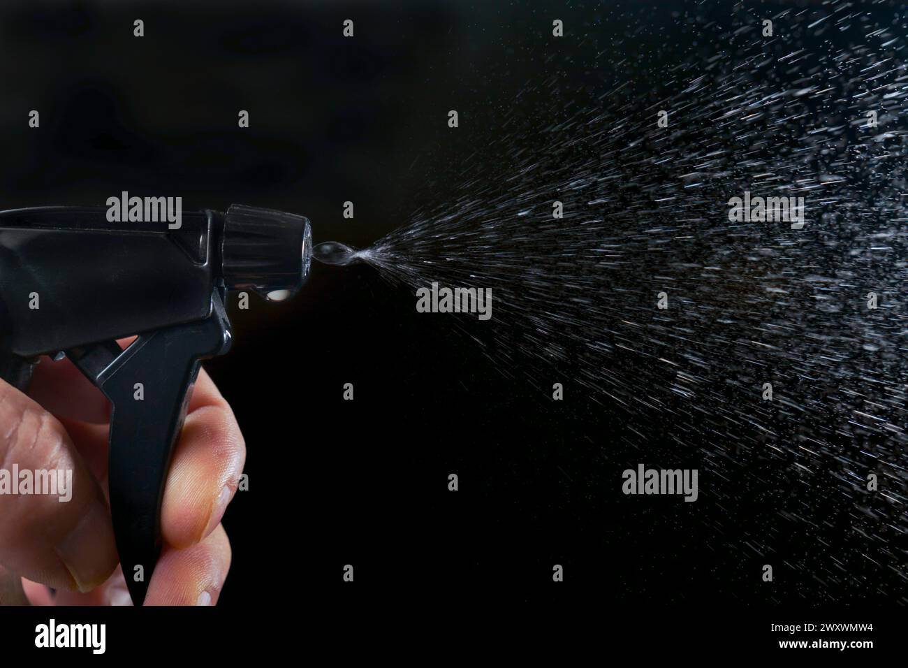 a man's hand pressing the trigger of a sprayer, spraying water droplets ...