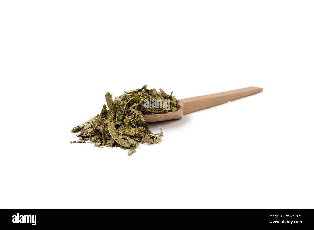 Dried leaves o Lemon verbena in latin Aloysia citrodora on wooden spoon ...