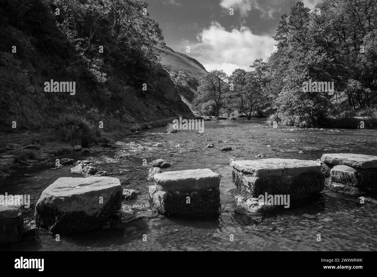 Stepping stones water Black and White Stock Photos & Images - Alamy
