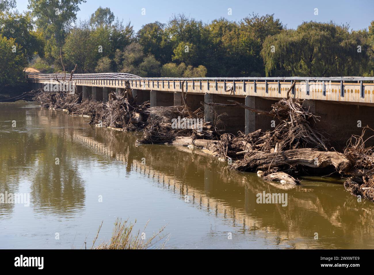 Debris of large tree stumps stuck against a low lever concrete bridge ...
