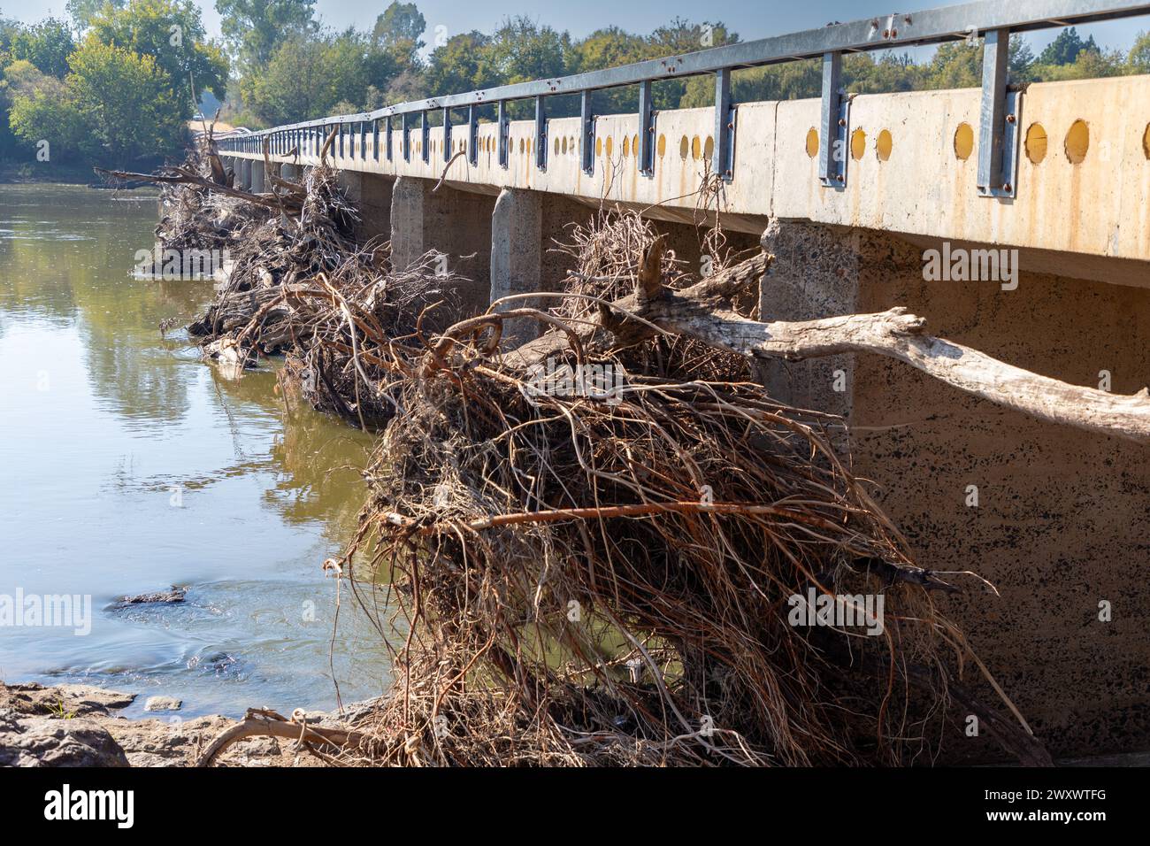 Close up on large and small pieces of debris stuck against a concrete ...