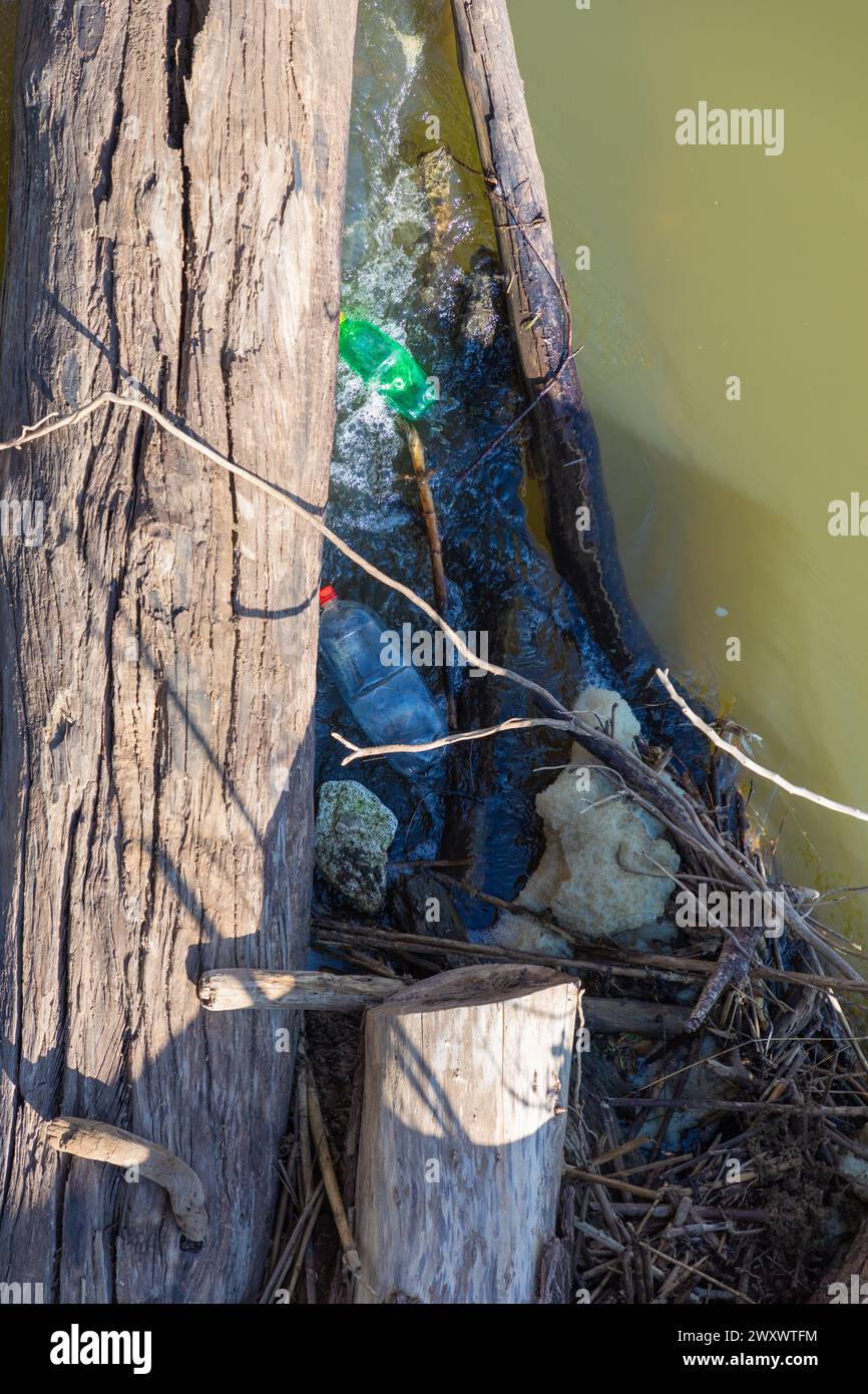 Plastic waste trapped between tree stumps in a river. Concept for ...