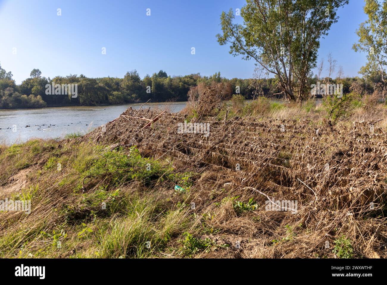 Grass debris stuck to a fence after the Vaal river in South Africa ...
