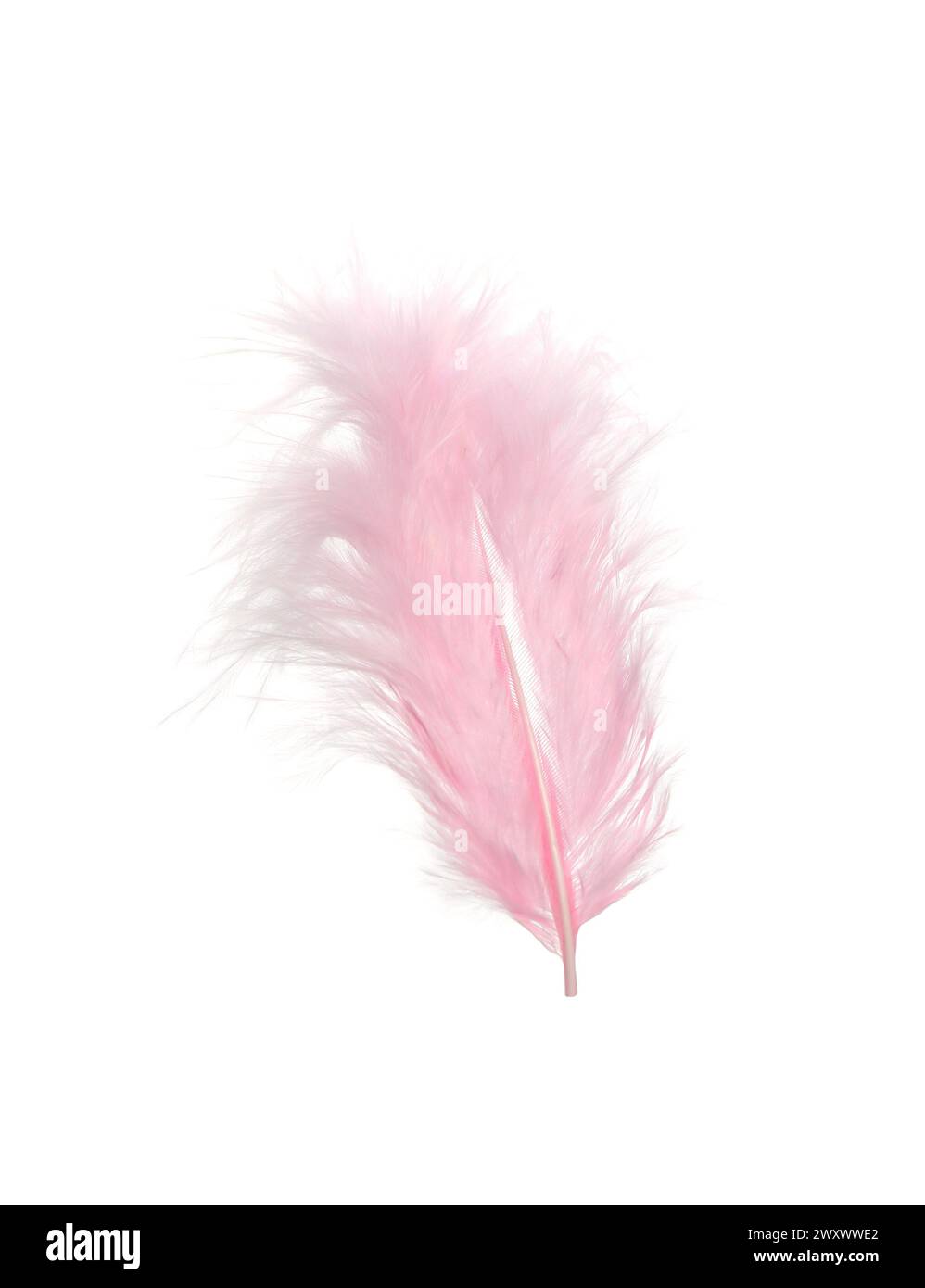 Fluffy beautiful pink feather isolated on white Stock Photo - Alamy