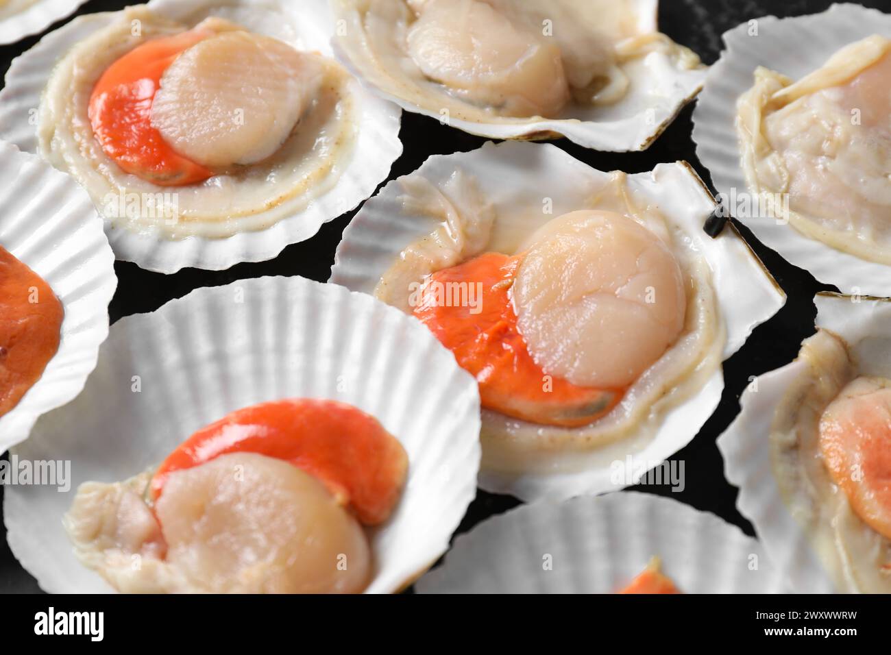 Fresh raw scallops with shells on black textured table, closeup Stock ...