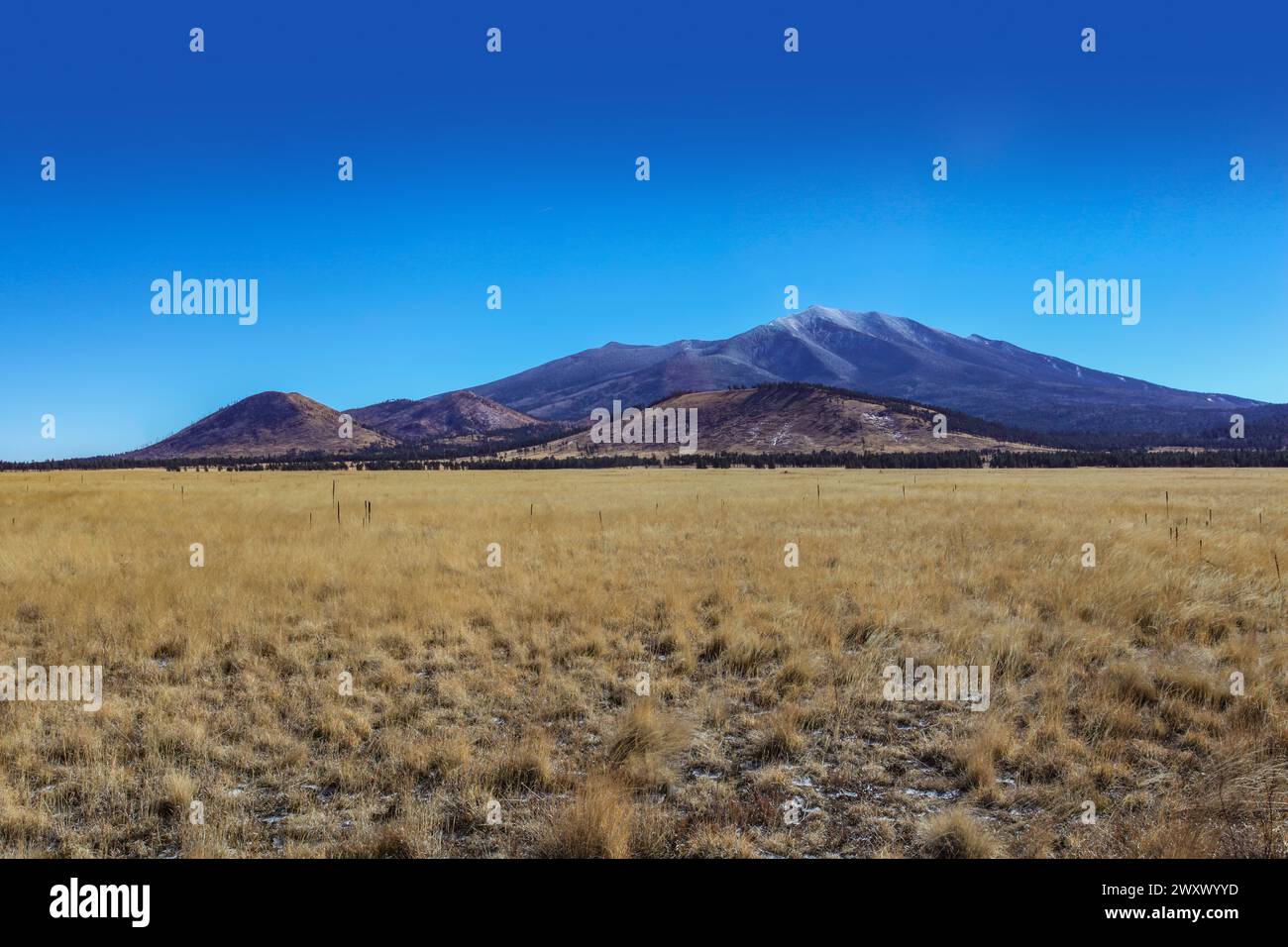 A steep scenic hike up a cinder cone called SP Mountain in theSan ...