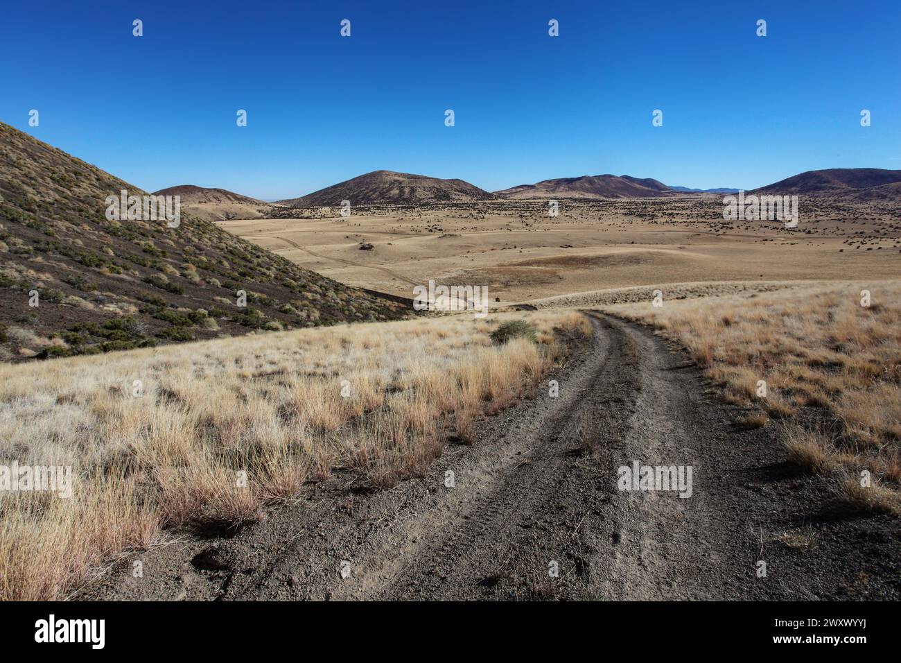 A steep scenic hike up a cinder cone called SP Mountain in theSan ...