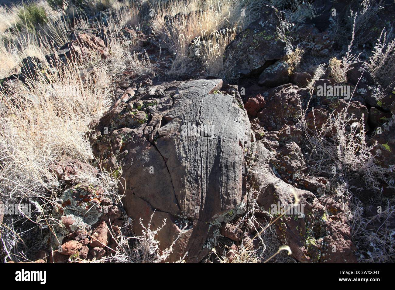 A steep scenic hike up a cinder cone called SP Mountain in theSan ...