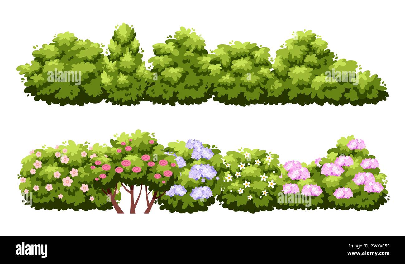 Cartoon green hedge. Decorative bush borders isolated on white ...