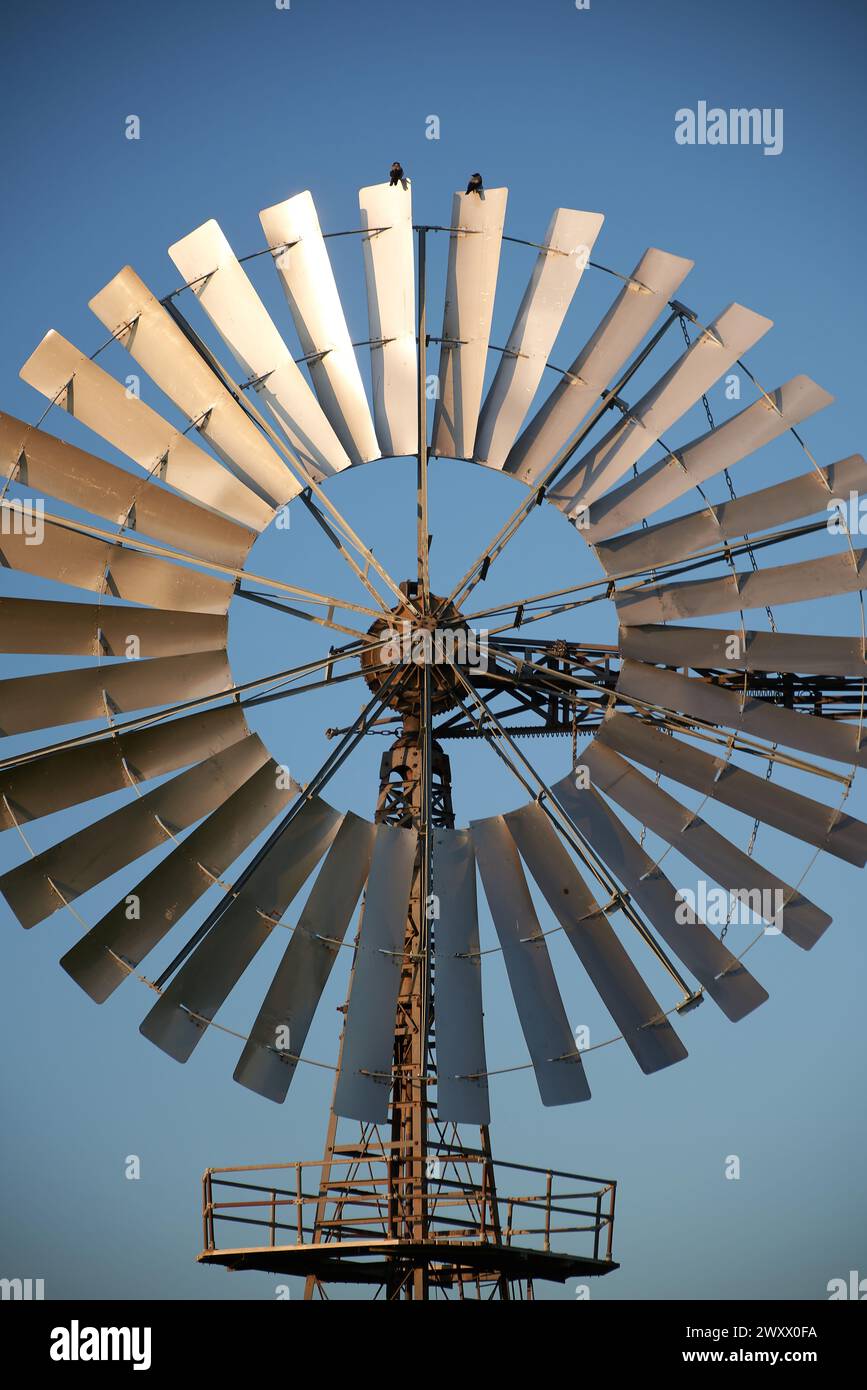 windmill used for regulationof water flow in agriculture as water pump Stock Photo - Alamy