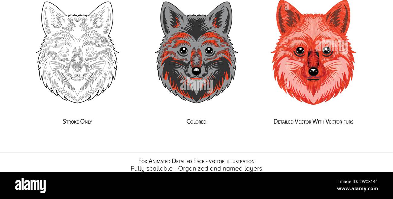 Fox Face Vector Illustration. Vector Illustration - realistic animal ...