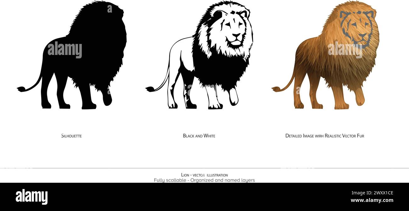 Majestic Lion Vector Illustration. Lion Silhouette. Black and white ...