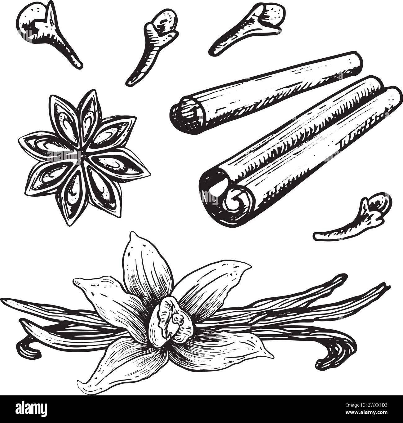 Ink hand drawn spices set. Sketch Vector aromatic ingredient in ...
