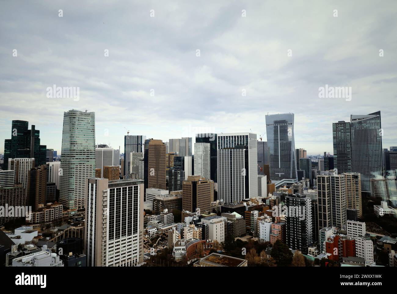 Tokyo scenery A landscape of 2024 where new high-rise buildings are ...