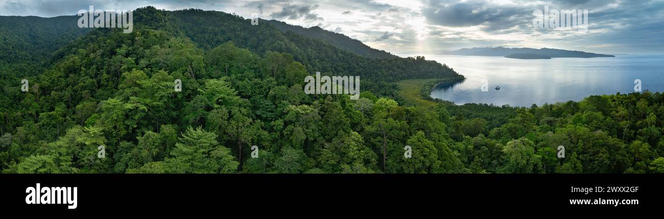 Thick rainforest covers the scenic coast of southern Batanta, Raja ...