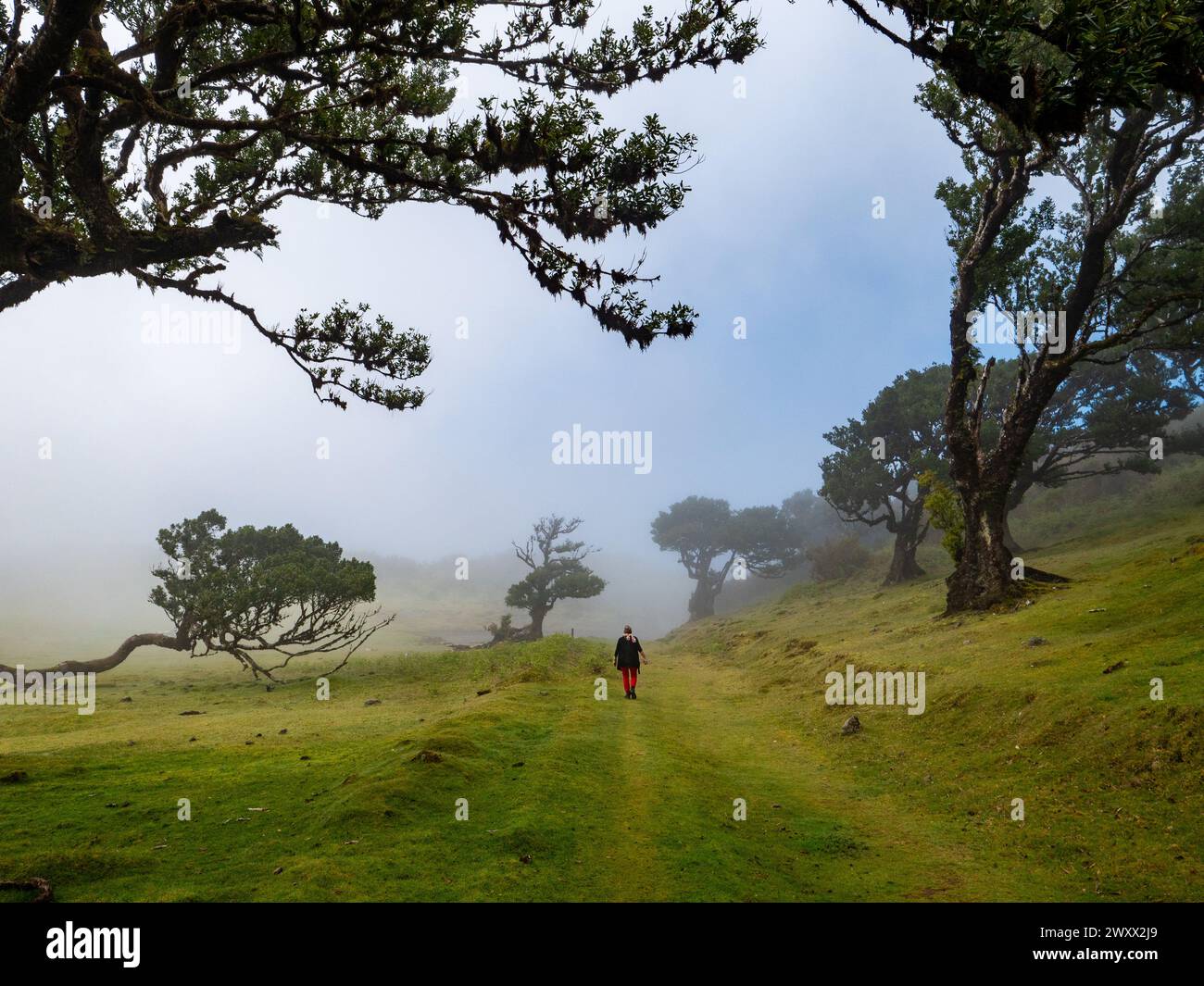 Azorean garden scenery hi-res stock photography and images - Alamy