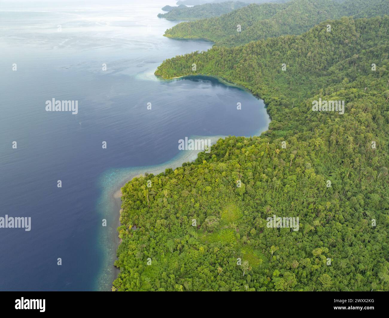 Thick rainforest covers the scenic coast of southern Batanta, Raja ...