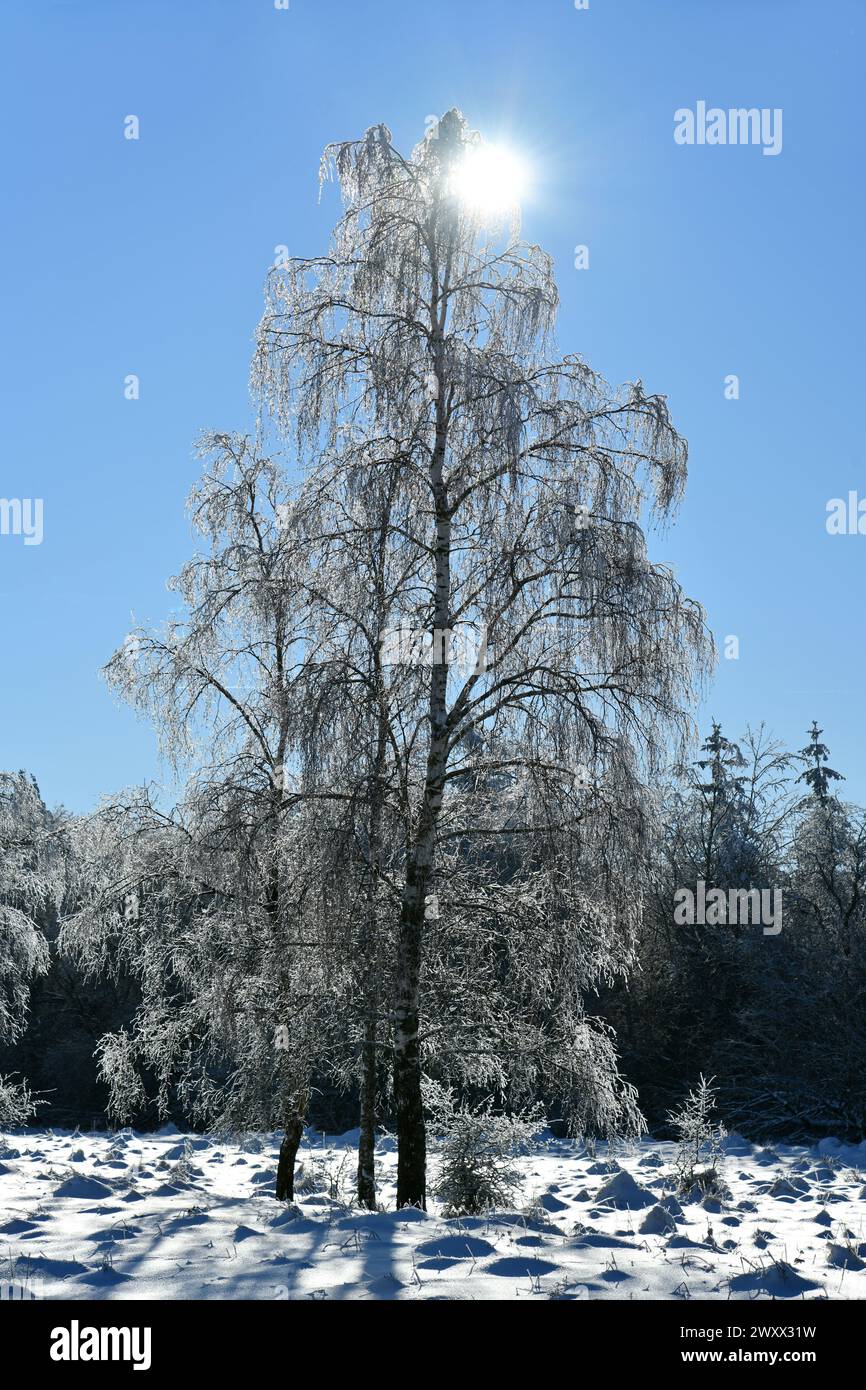 Winter landscape in the beautiful Rhön Stock Photo - Alamy