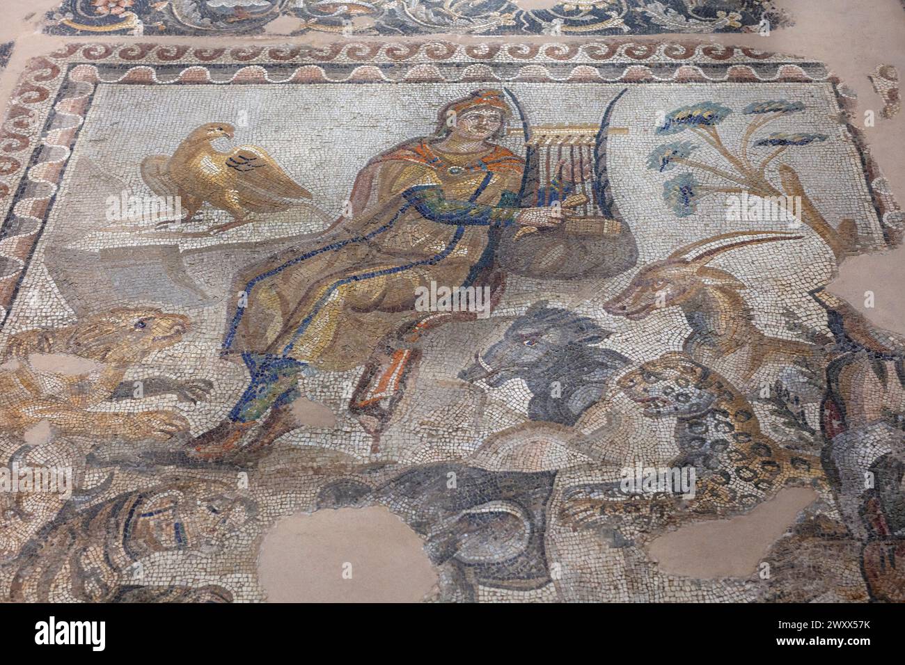 Orpheus mosaics hi-res stock photography and images - Alamy