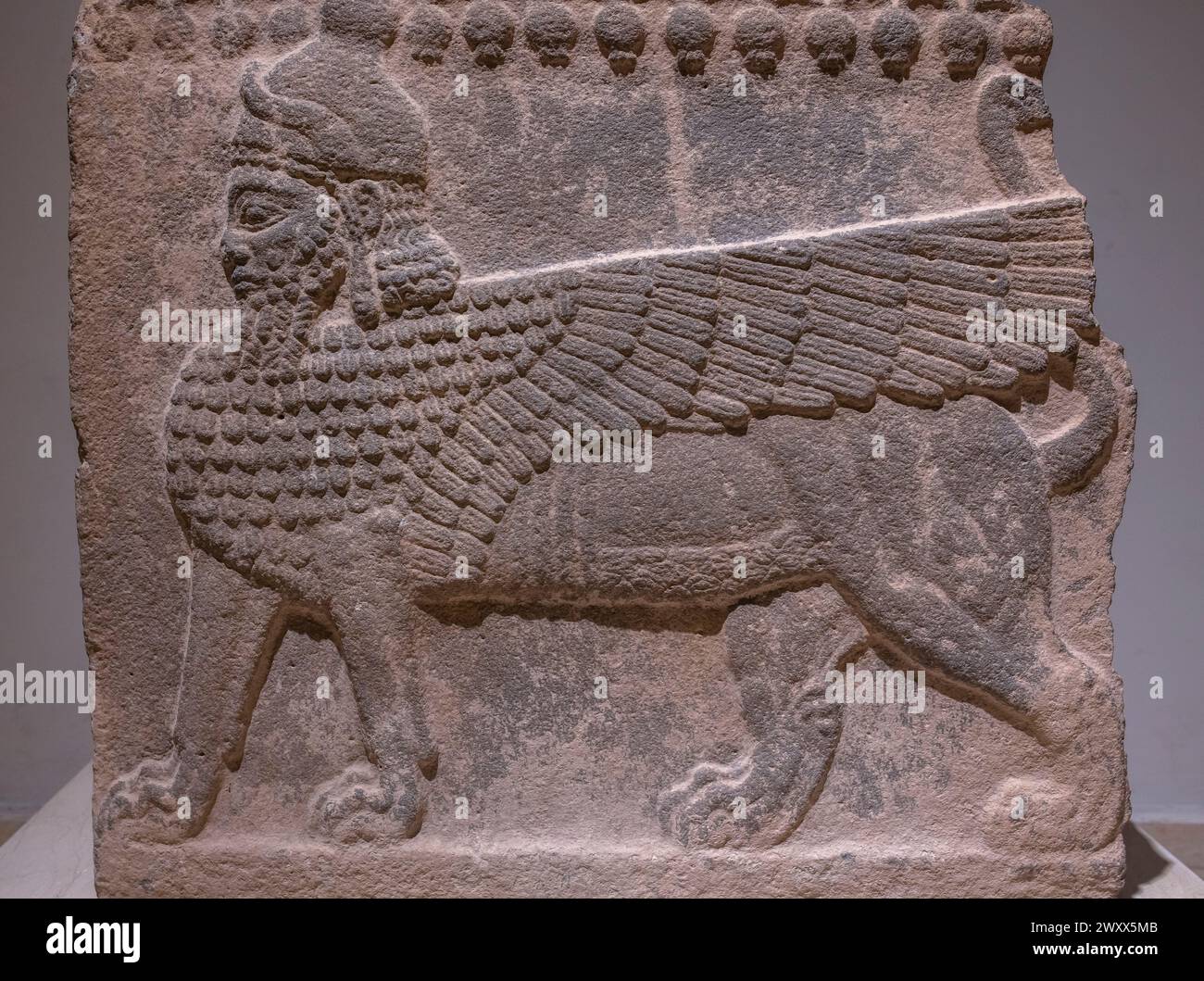 Orthostat hi-res stock photography and images - Alamy