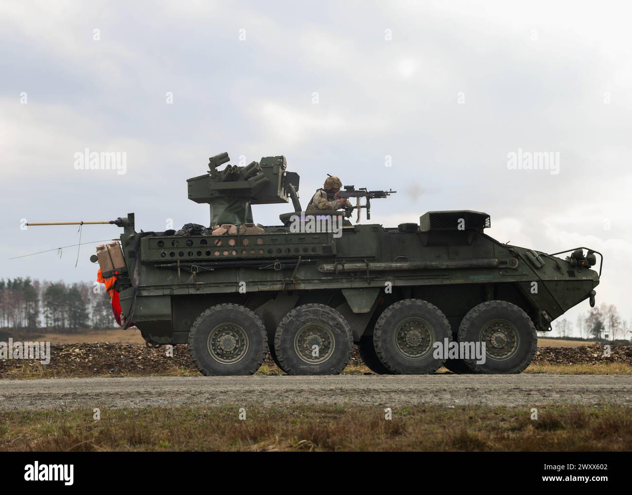 Soldiers assigned to Quickstrike Troop, 2nd Cavalry Regiment, take part ...