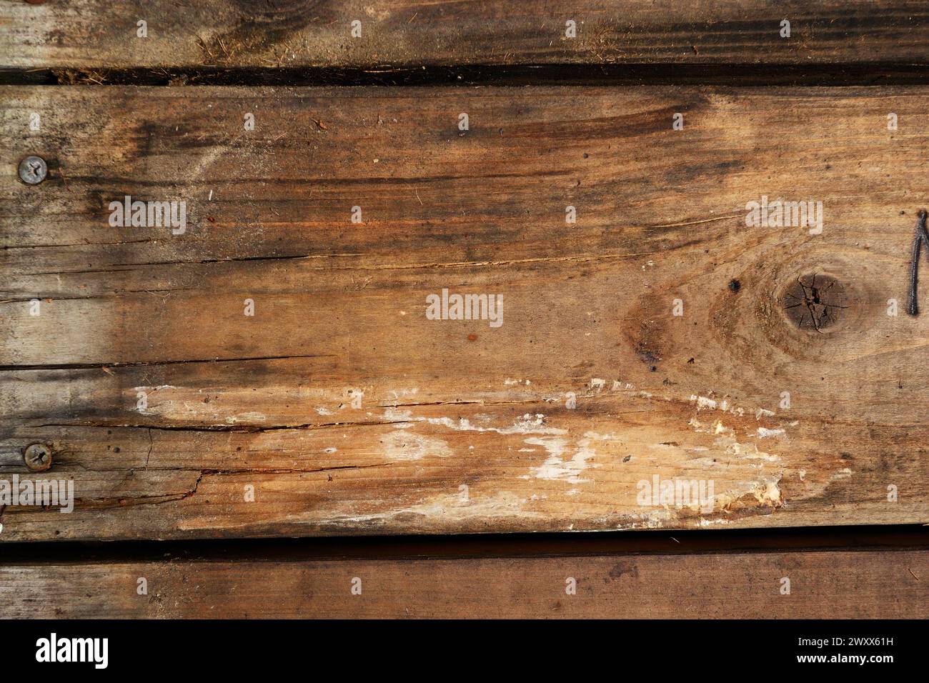 Row of fabric covered fold up chars in auditorium covered in earth tone ...