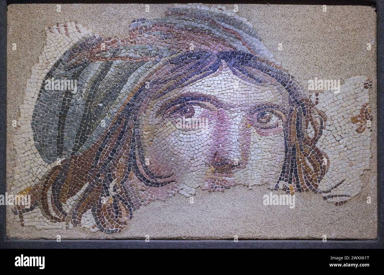 Gypsy Girl mosaic, Zeugma Mosaic Museum, Gaziantep, Gaziantep Province ...