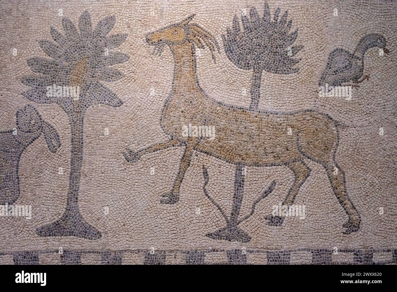 Animal mosaic, Zeugma Mosaic Museum, Gaziantep, Gaziantep Province ...