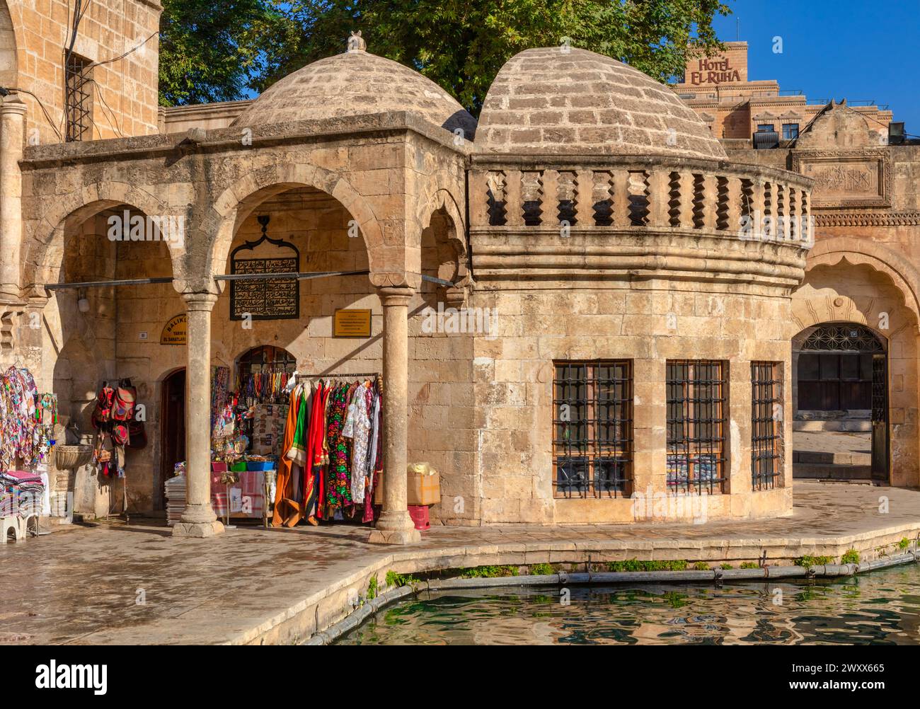 Pool urfa fish hi-res stock photography and images - Alamy