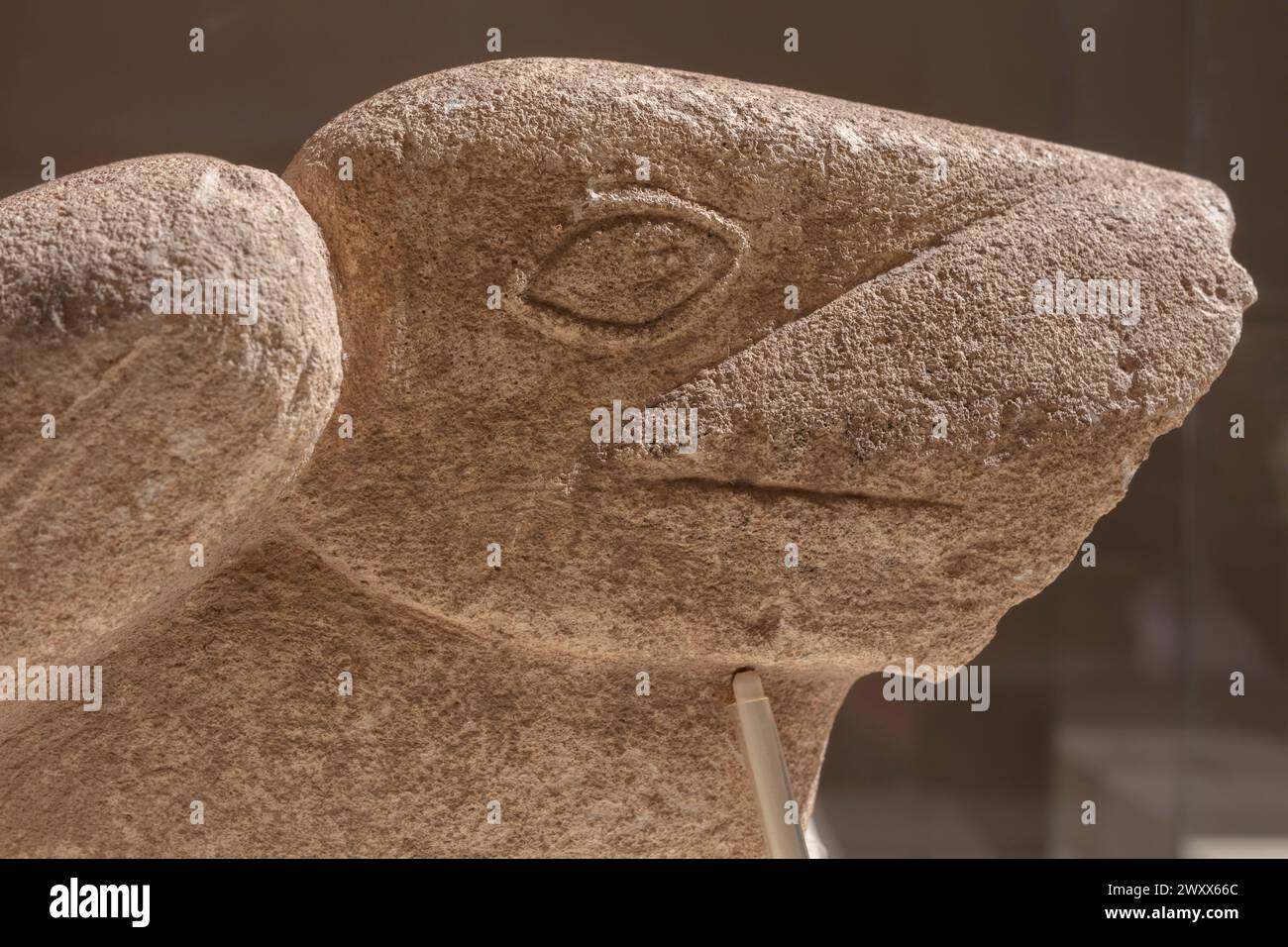 Neolithic bird statue, Sanlıurfa Museum, Urfa, Sanliurfa Province ...