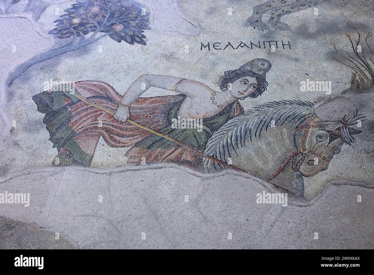 Hunting Amazons mosaic, Sanlıurfa Museum, Urfa, Sanliurfa Province ...