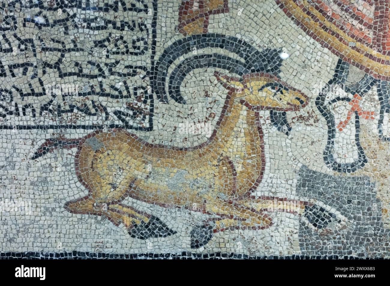 Orpheus mosaics hi-res stock photography and images - Alamy