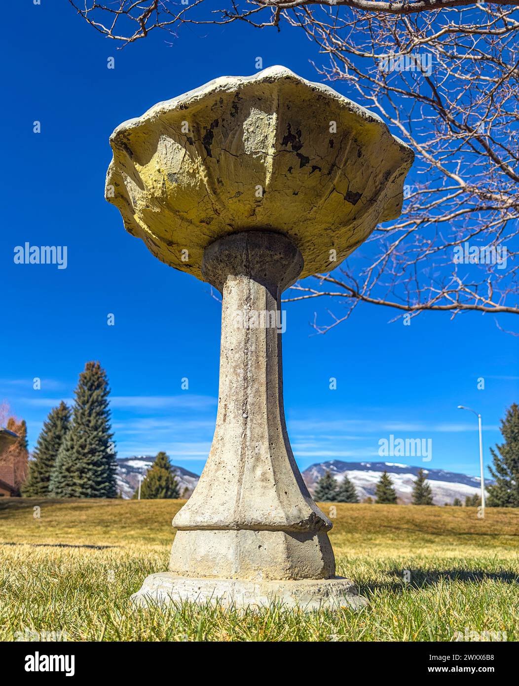 Birdbath in foreground shows Cody, Wyoming, mountain pass to ...