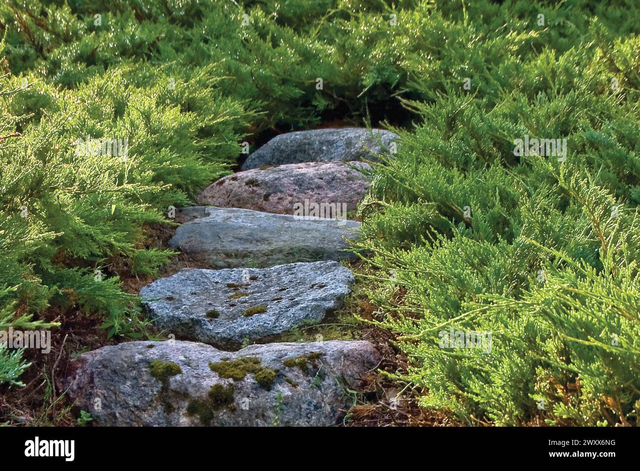 Stone stair pathway trail steps, grey and red colorful granite rock ...