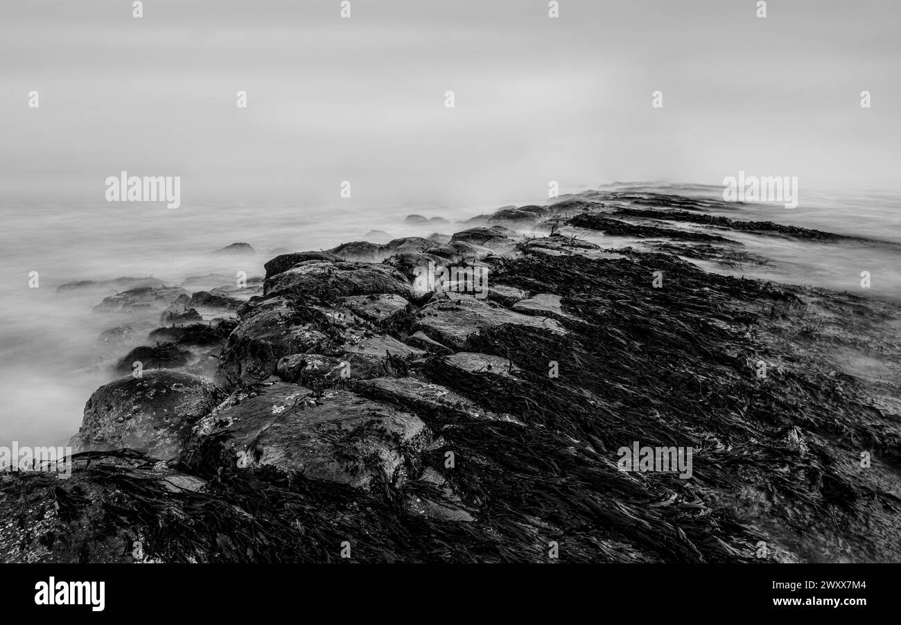 Path rocks beach Black and White Stock Photos & Images - Alamy