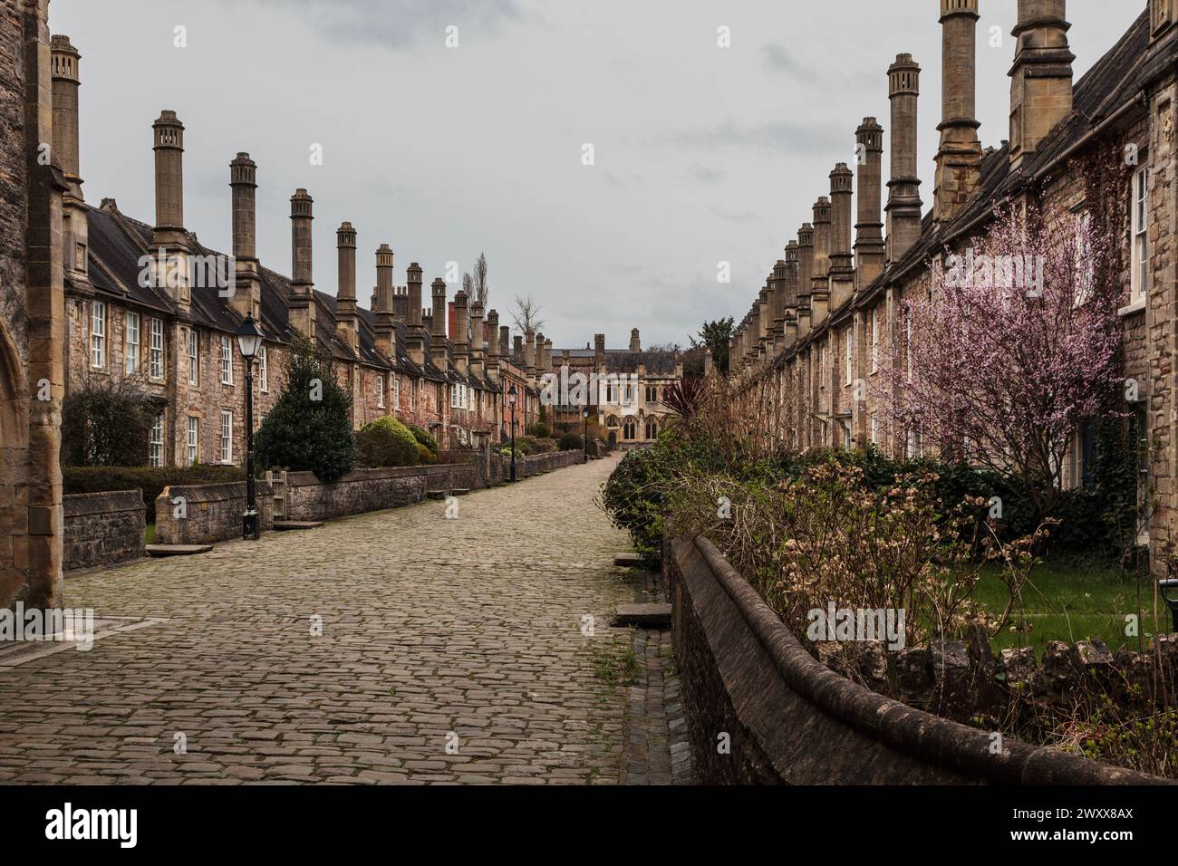 Vicars' Close, Wells, Somerset, England, UK: reputed to be the oldest ...