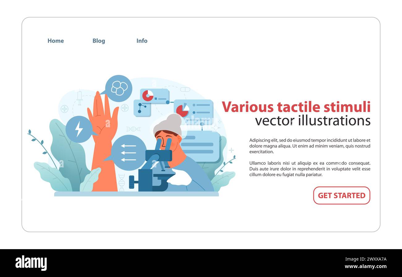 Various Tactile Stimuli A Scene Capturing Sensory Exploration With Touch And Scientific