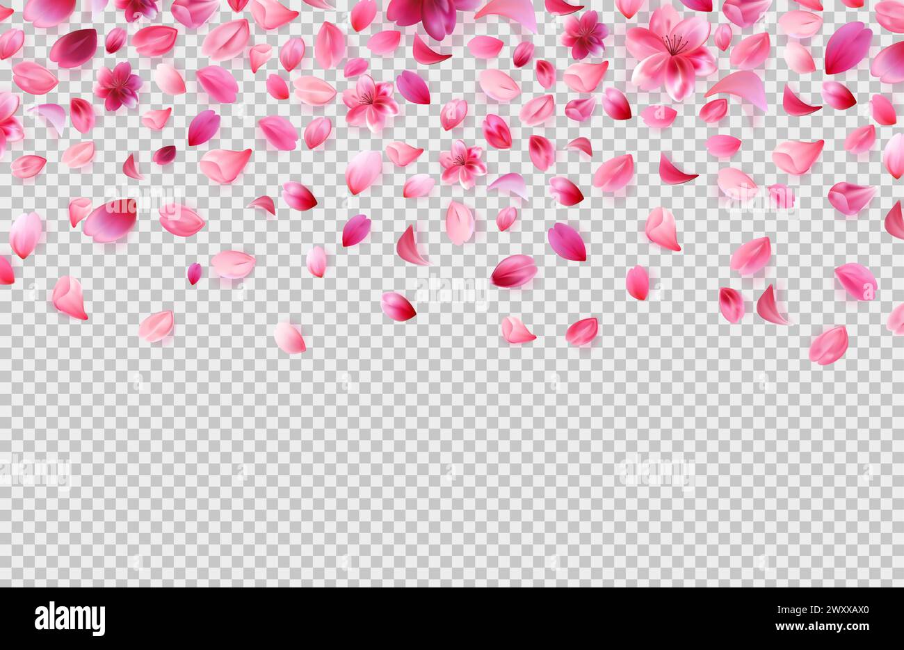 Falling cherry petals png isolated on transparent background. Romantic concept banner template ...