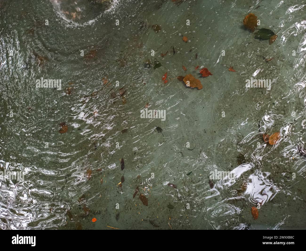 Water fountain texture with dry leaves and concrete floor and ...