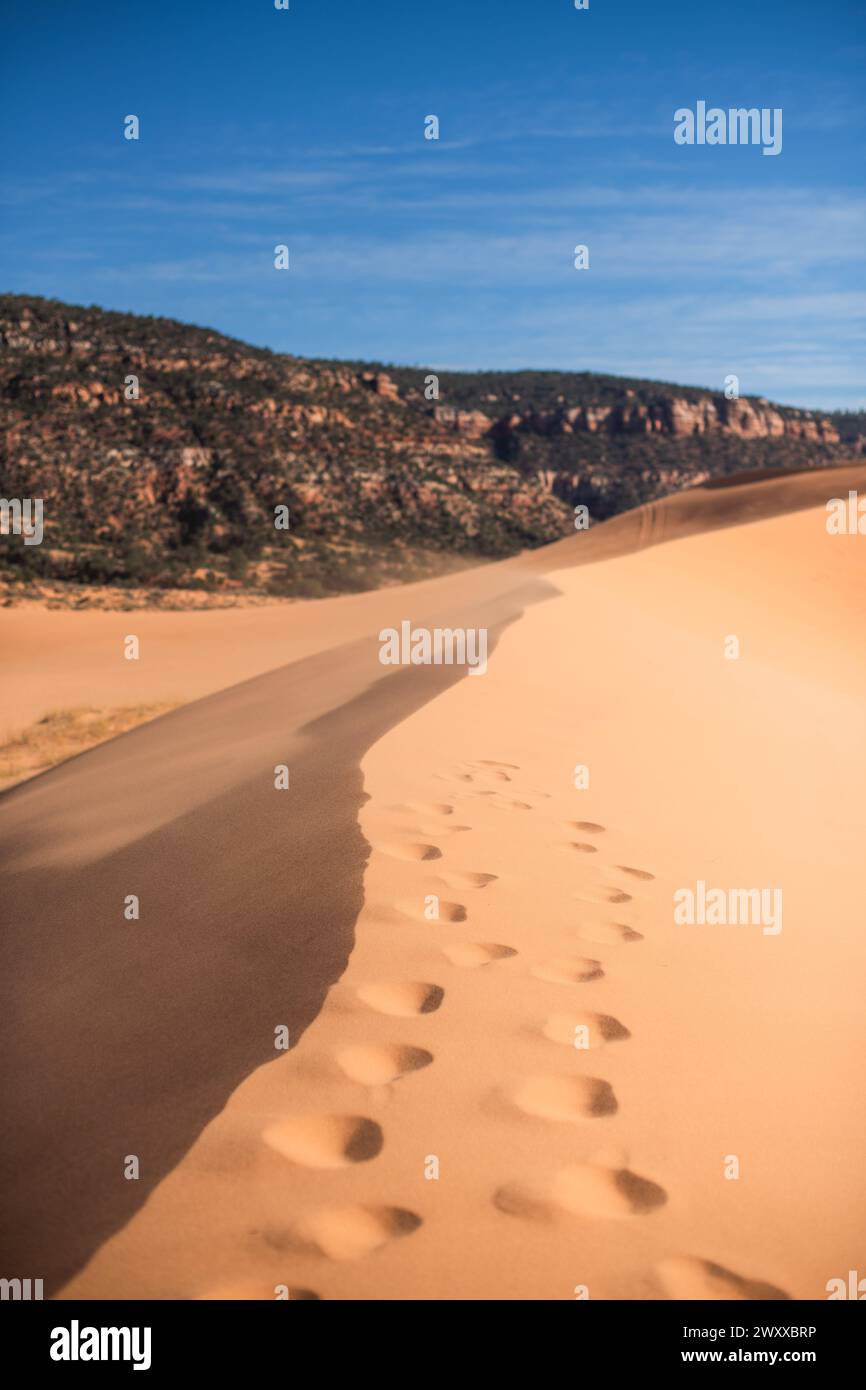 The majestic desert of Coral Pink Sand Dunes State Park Stock Photo - Alamy
