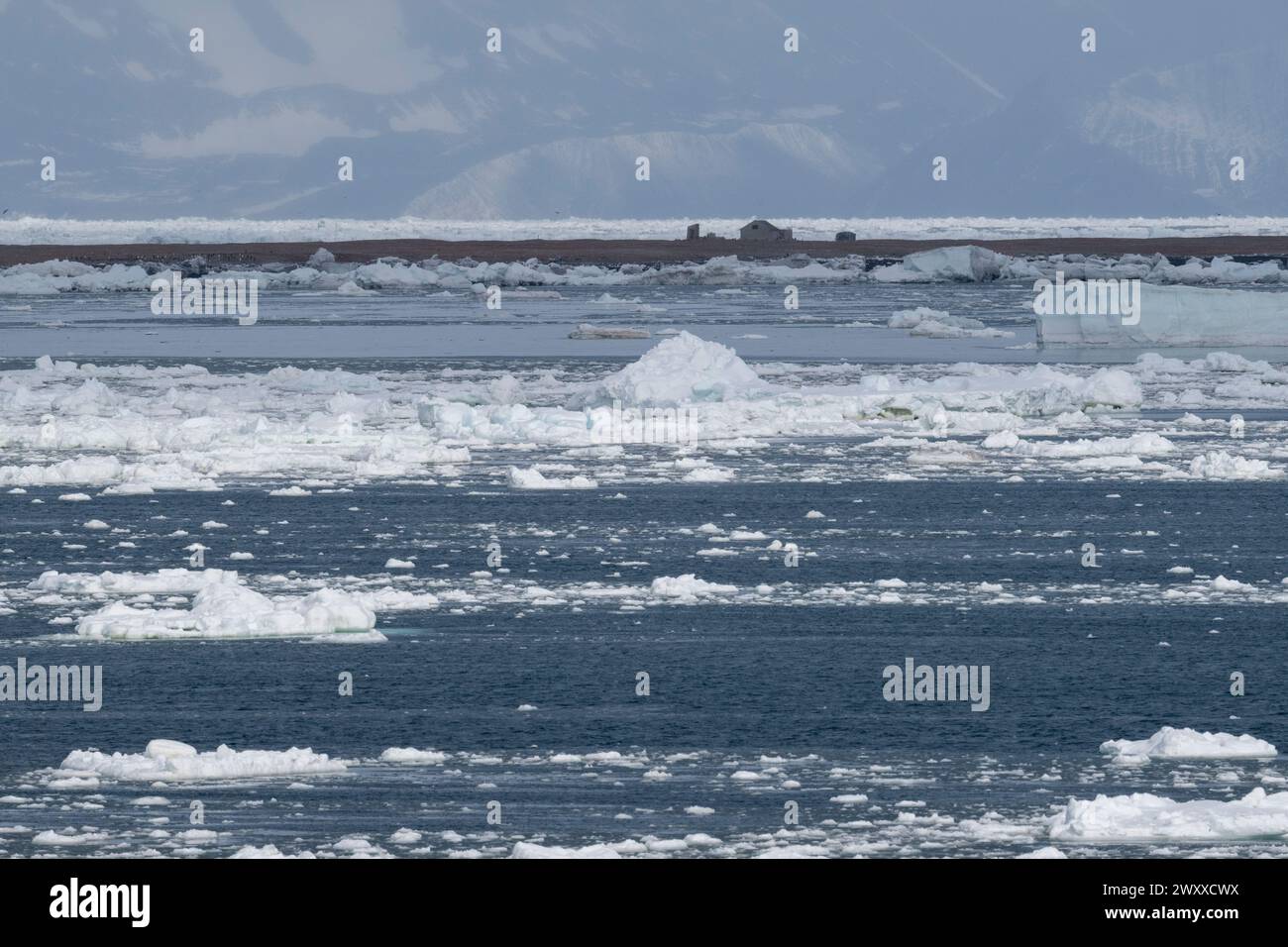 Antarctica, Ross Sea, Cape Adare. Icebergs at Cape Adare. Distant view ...