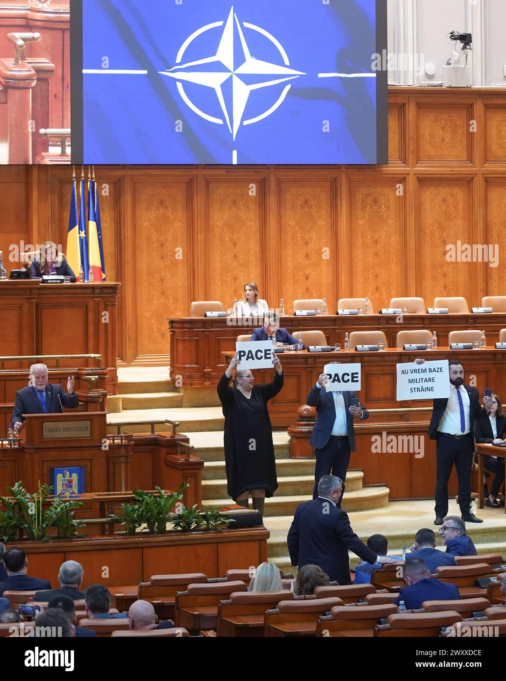 Ciprian ciubuc hi-res stock photography and images - Alamy