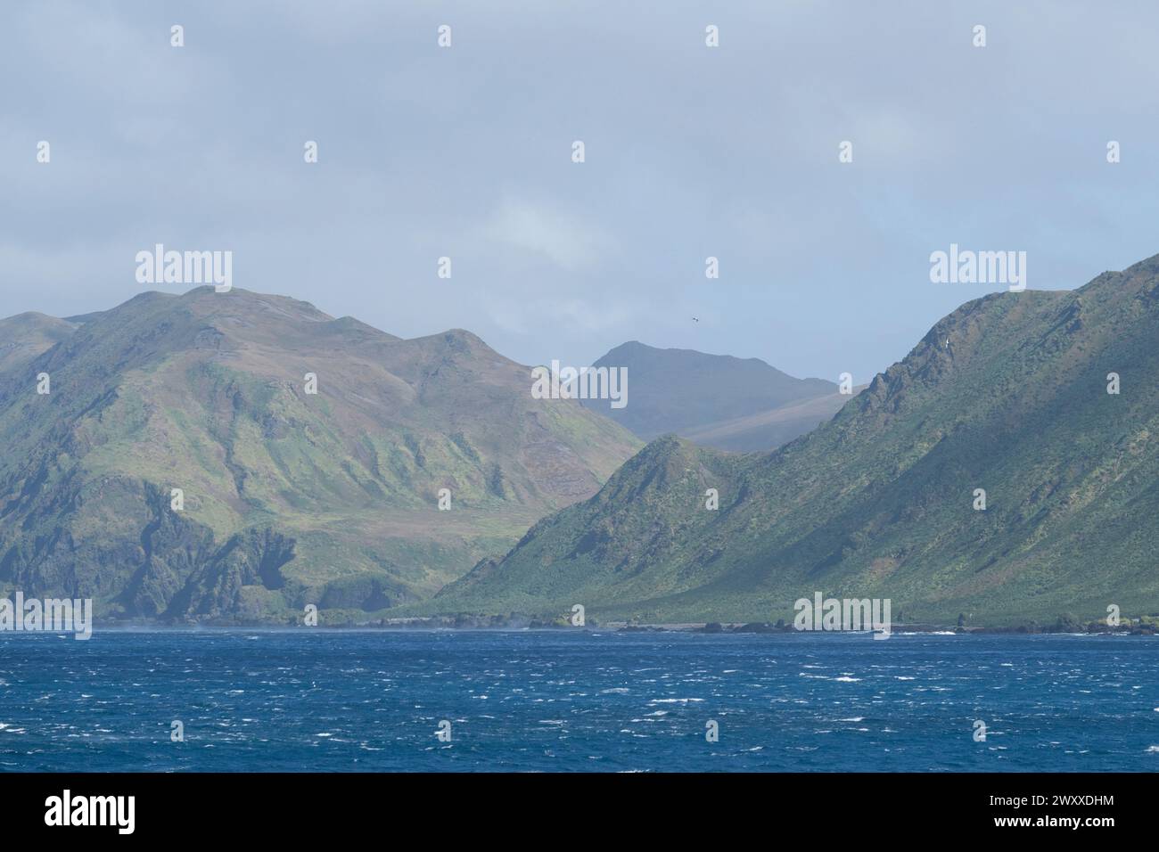 Australia, Tasmania, Subantarctic Islands, Macquire Island (UNESCO ...