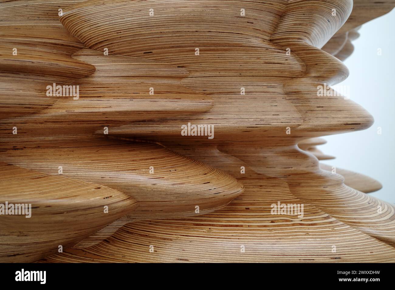 A close-up of a complex, sculptural wooden structure with overlapping ...