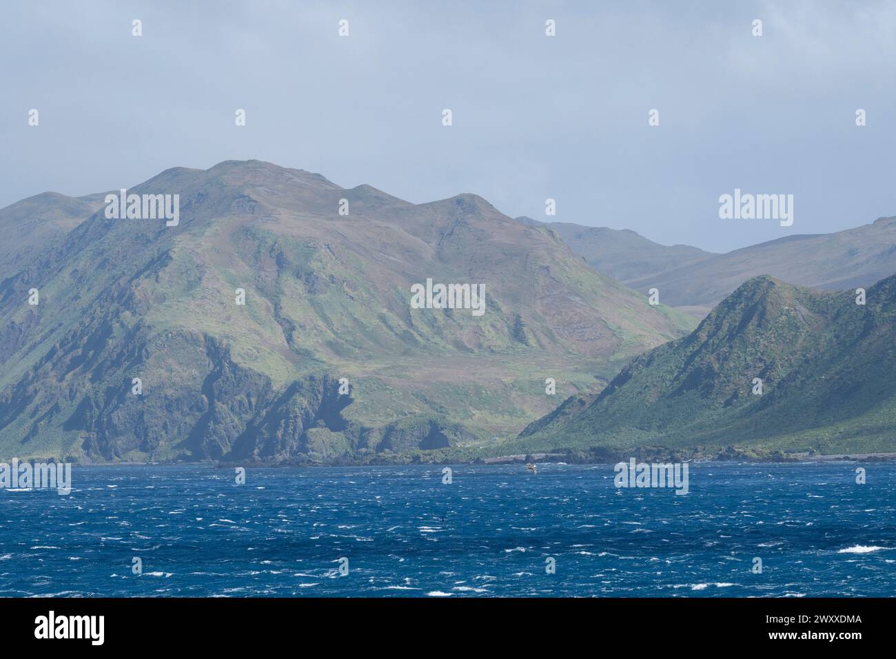 Australia, Tasmania, Subantarctic Islands, Macquire Island (UNESCO ...